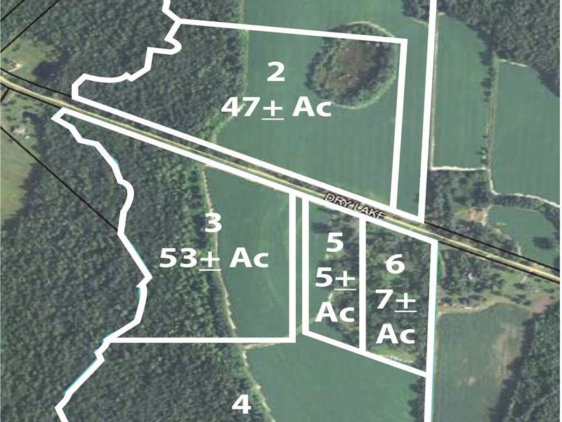 Farmland Timberland Country Homes Land Auction In Georgia 142482