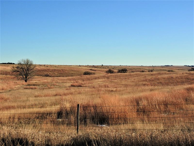 Dickau Farms Gosper County Nebraska, Land Auction in Nebraska, #233330