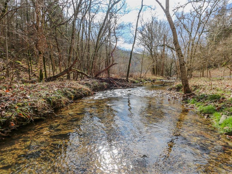 178 Ac in 5 Tracts, Creek, Timber, Land Auction in Tennessee, #341851