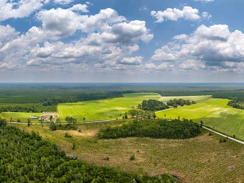 Find Land Auctions And Property Near Me Auctionflip