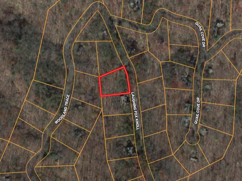 Georgia Land Auctions Auctionflip
