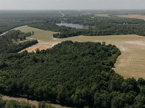 Find Land Auctions And Property Near Me Auctionflip