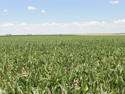 Farm Land Auctions : AUCTIONFLIP